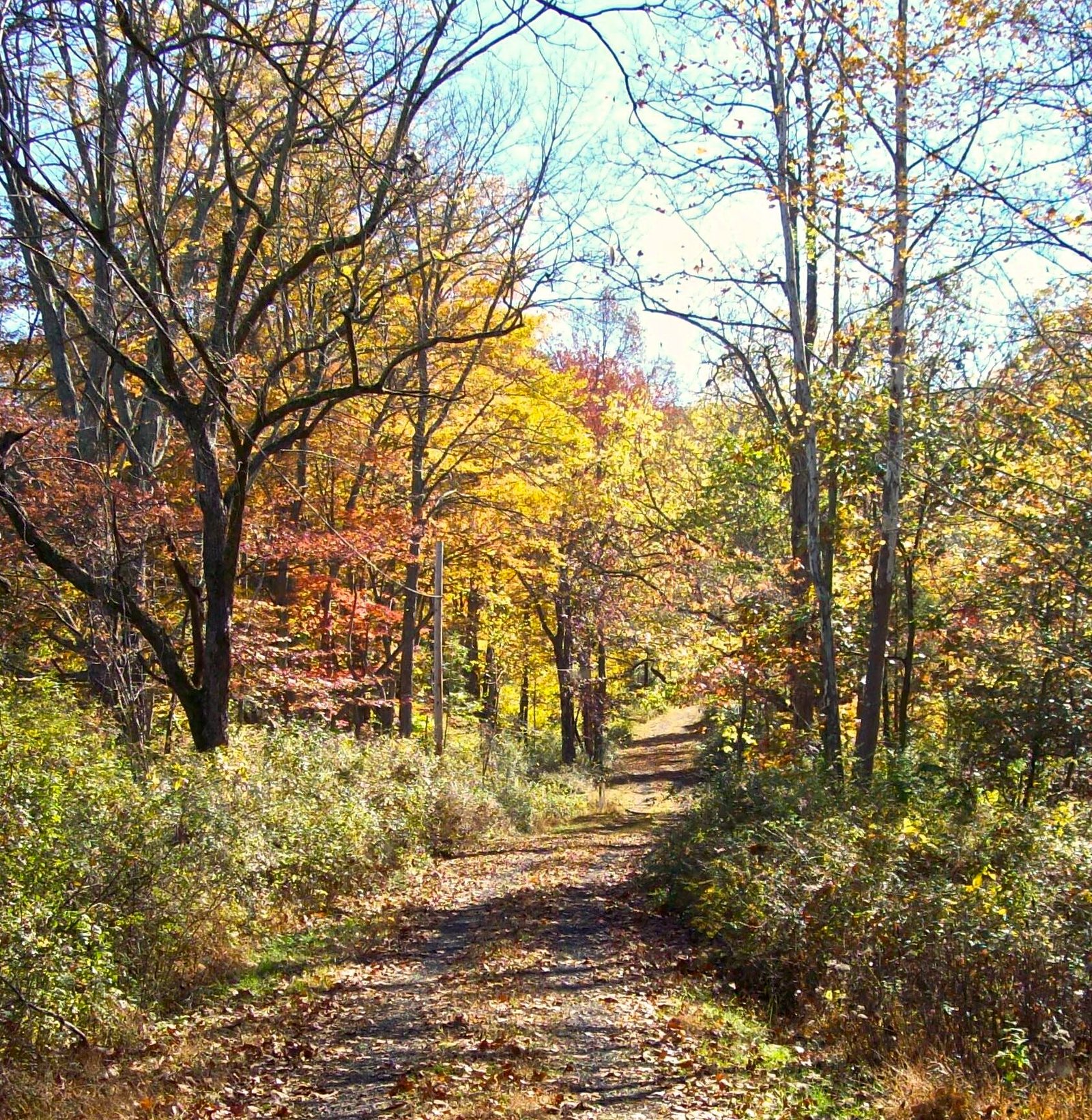 Calno Cemetery, Pahaquarry Township, New Jersey — New Jersey Genealogy